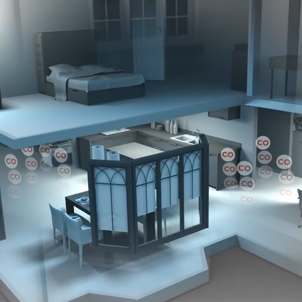 co-detector | Fleenor Security